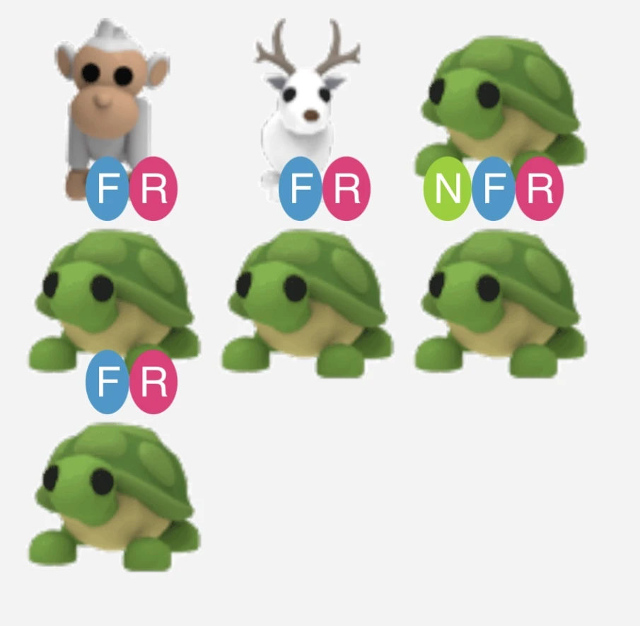 W/F/L Quick! For my Mega Turtle | Fandom