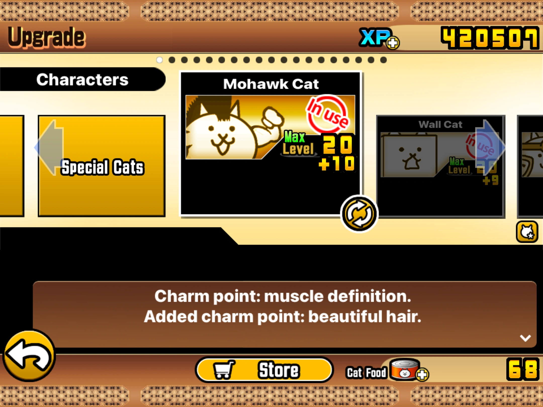 3rd normal cat true form | Fandom