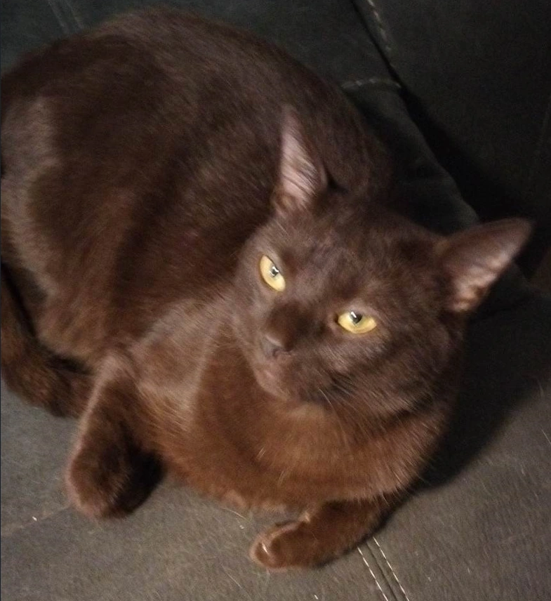 Shinonome Ena | Fandom