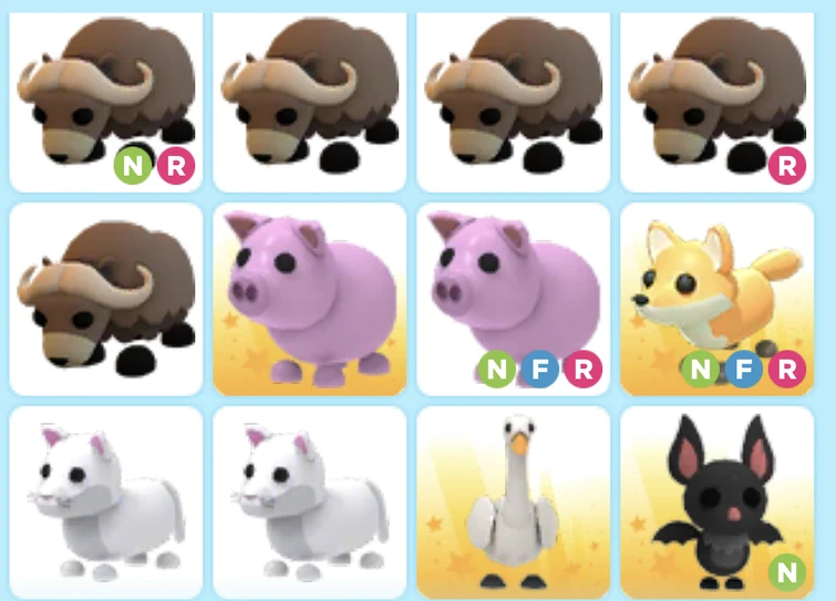 trading eh lf small nfr pets | Fandom