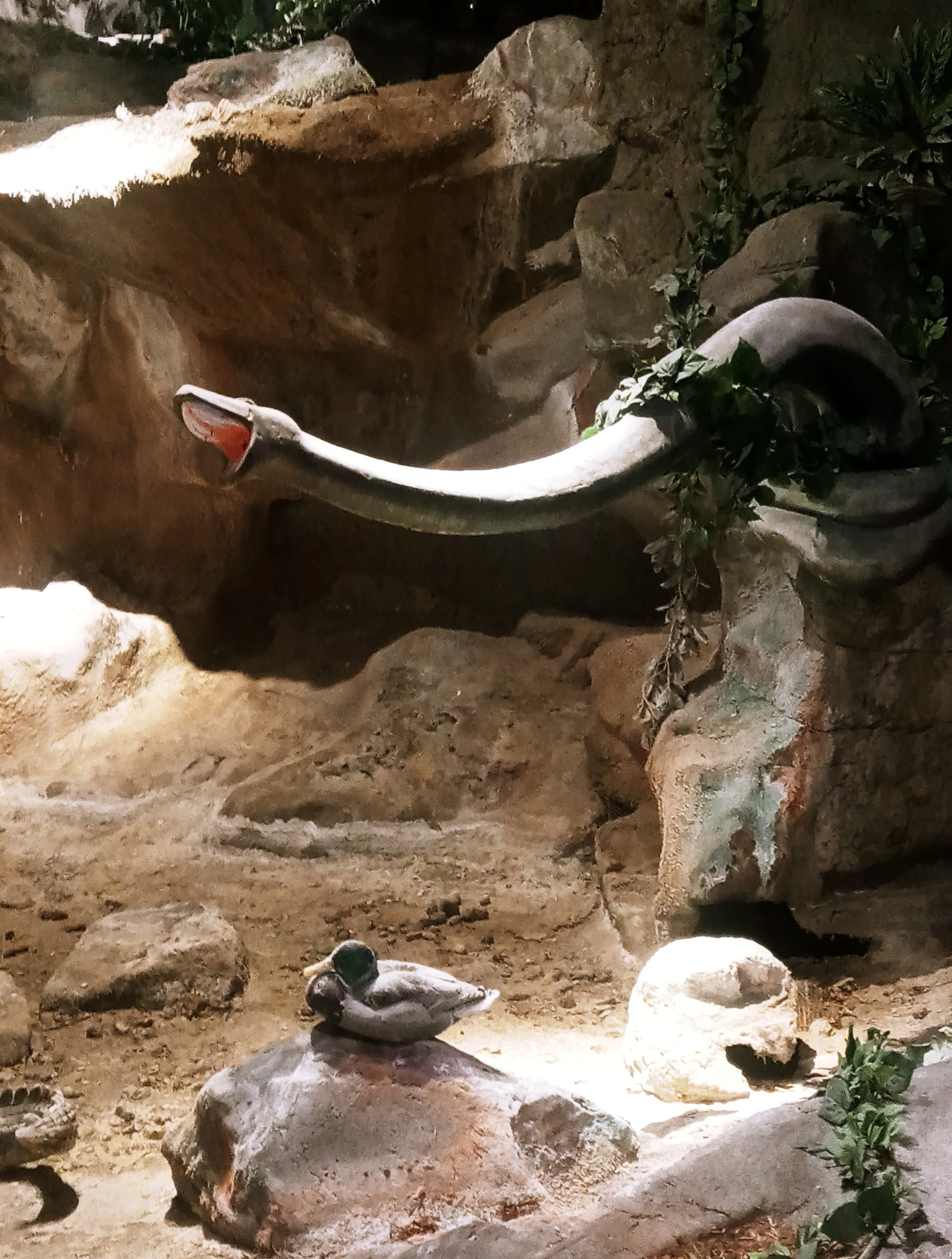 Animatronic Photography | Fake Snake/Taxidermy TW | Fandom