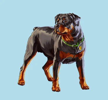 Who's the best dog? | Fandom