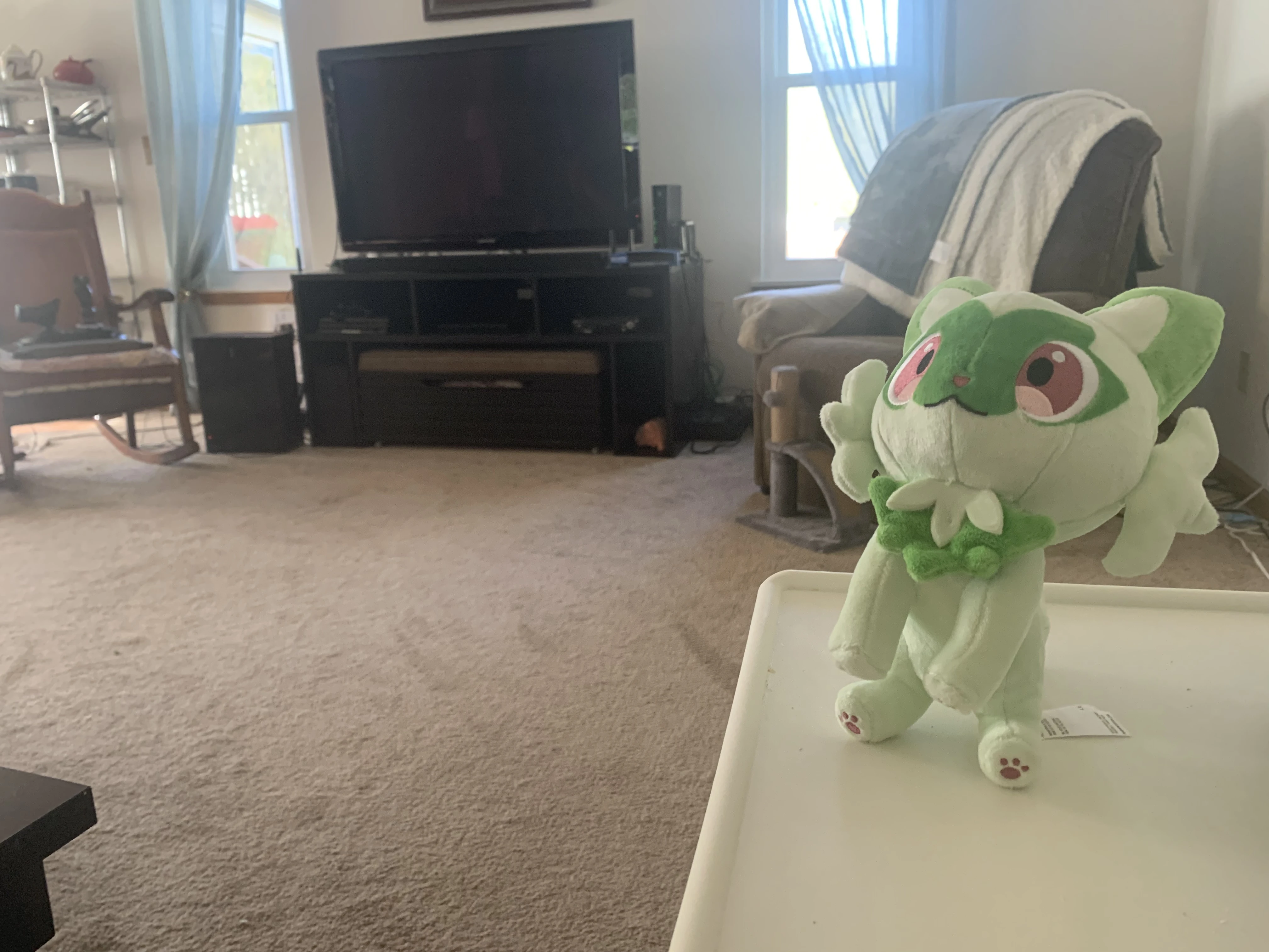 Many thoughts, head full vs No thoughts, head empty | Fandom