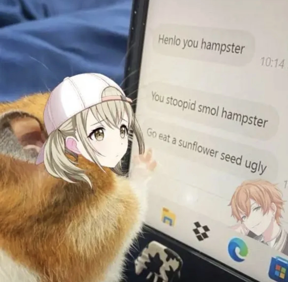 Stoopid smol hampster henlo | Fandom