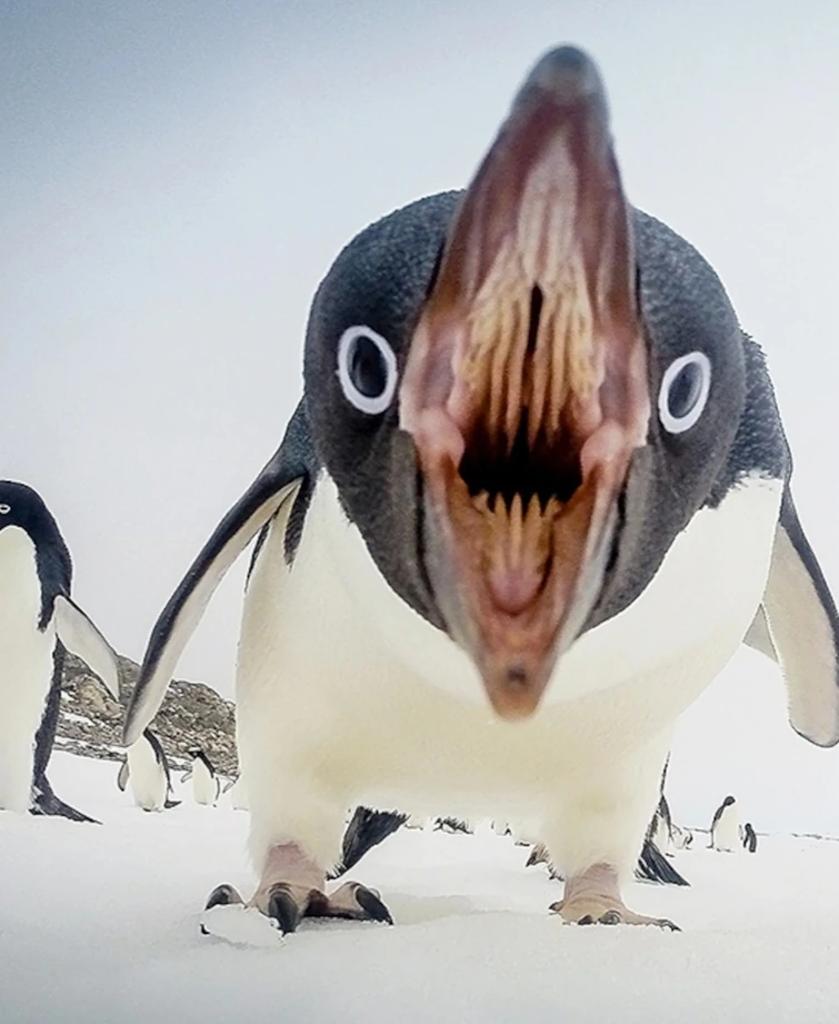 Just got here. No idea what I'm in for 🤦‍♂️ | Fandom