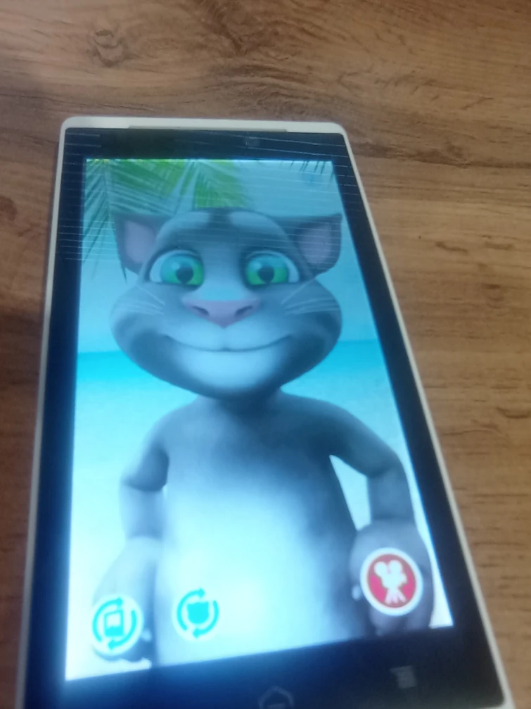 Discuss Everything About Talking Tom & Friends Wiki | Fandom