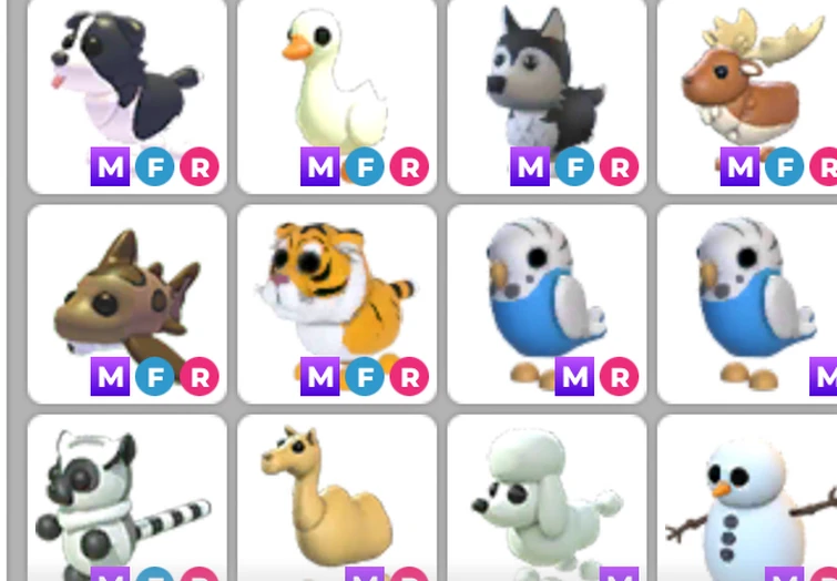 Discuss Everything About Adopt Me! Wiki | Fandom