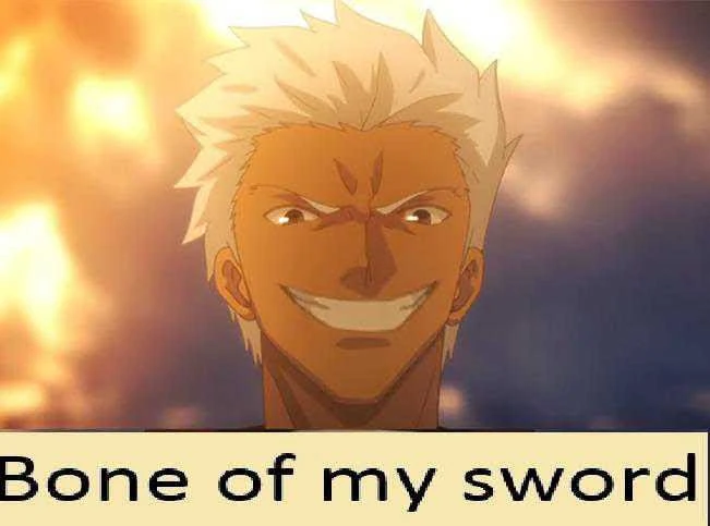 What is this image and why did I find it? *Meme I got from a universe ...