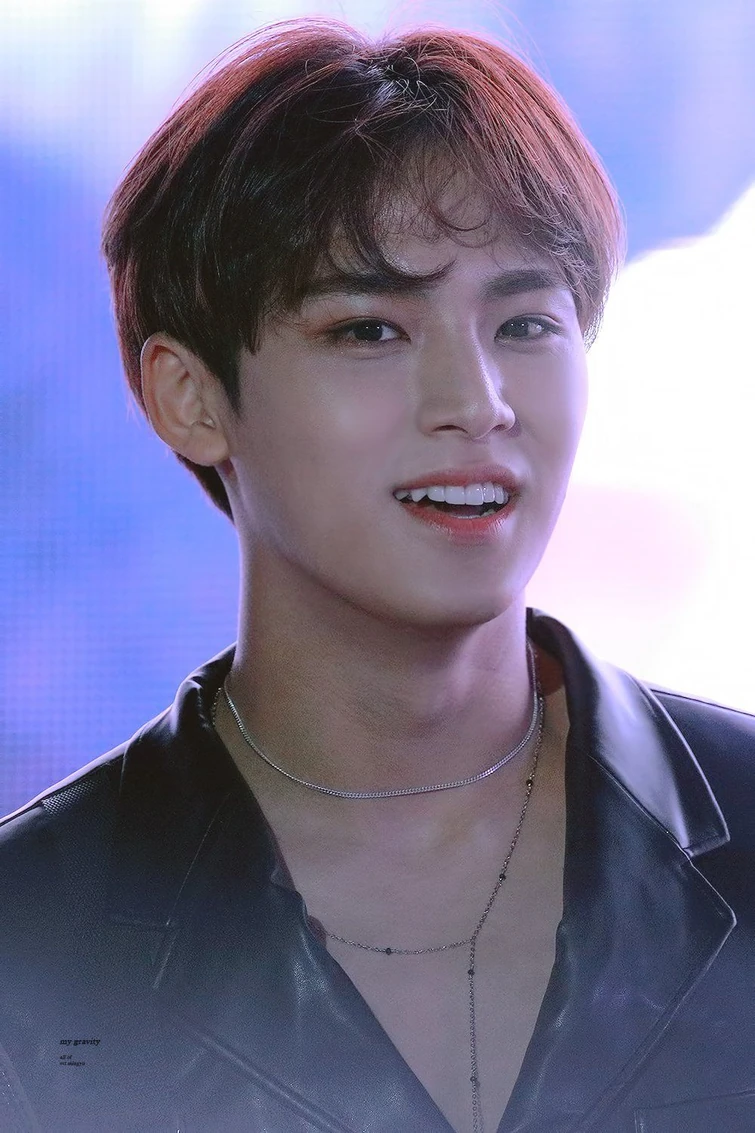 SSG Day 5: Mingyu | Fandom