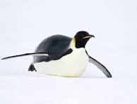 You already know day 22 | Fandom