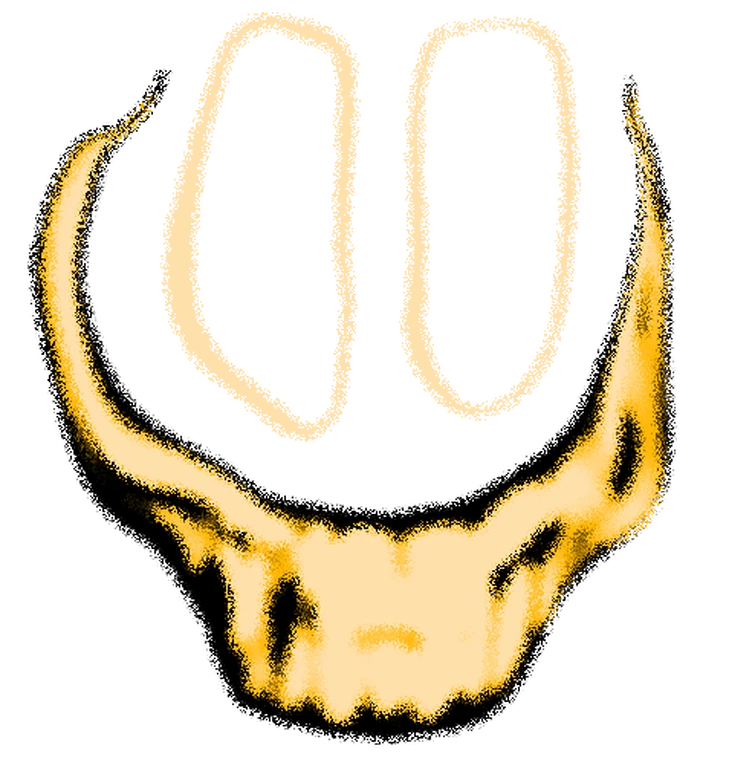 Discuss Everything About ROOMS: Low Detailed Wiki | Fandom