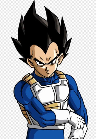 Which Vegeta outfit is your favorite? | Fandom