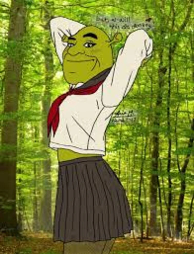 im new but present cursed Shrek | Fandom