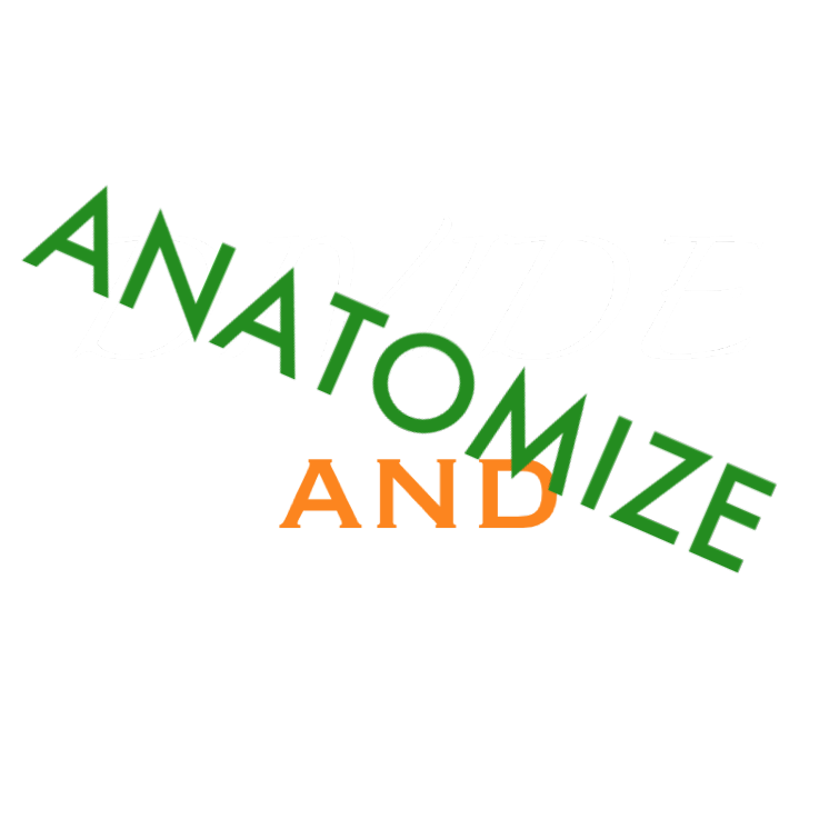 New Series: Divide and Anatomize | Fandom