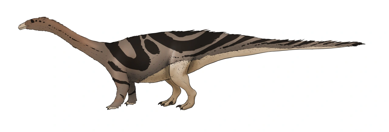 Paleo Exhibit | Fandom