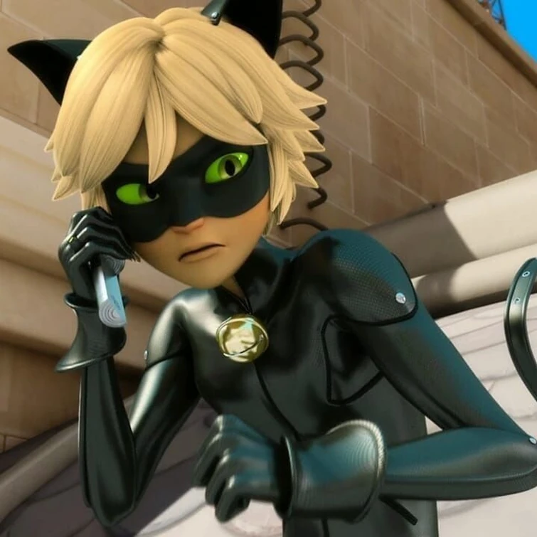 Which emotion Cat Noir make you like most? | Fandom