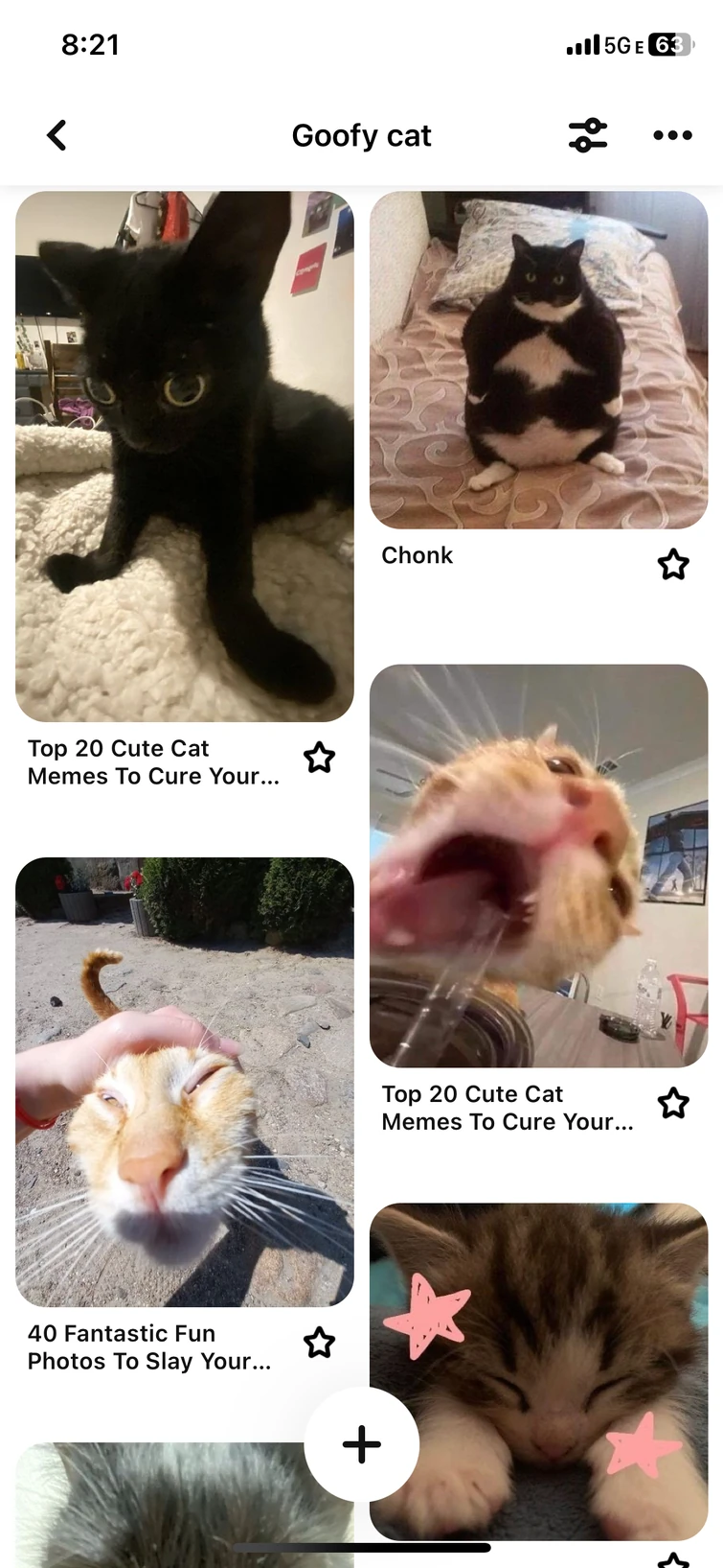 Badly Drawing Frantic As Cat Photos | Fandom