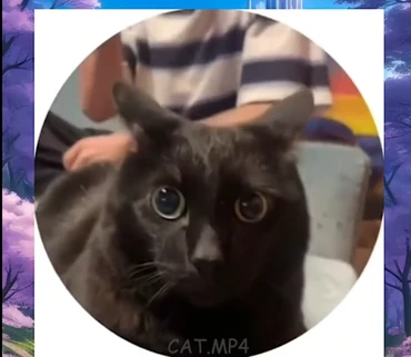 should I make emo sprout | Fandom