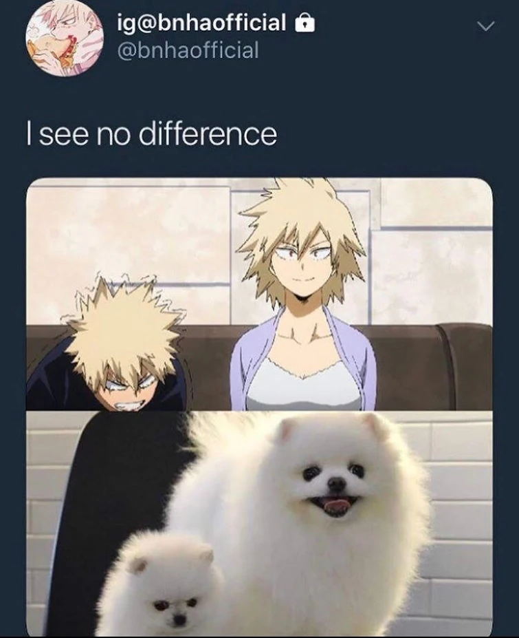 Memes of mha (and shipping chaos) | Fandom