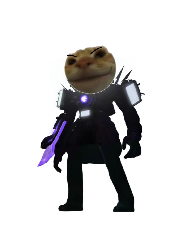 Ask me questions about boppity cat | Fandom