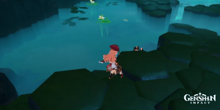 Shenanigans in co-op | Fandom