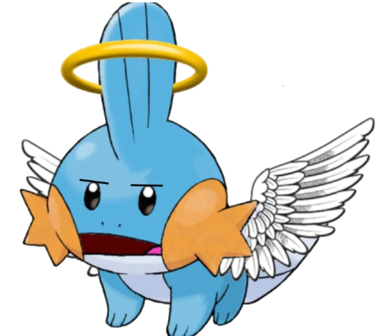 VS Mudkip | Fandom
