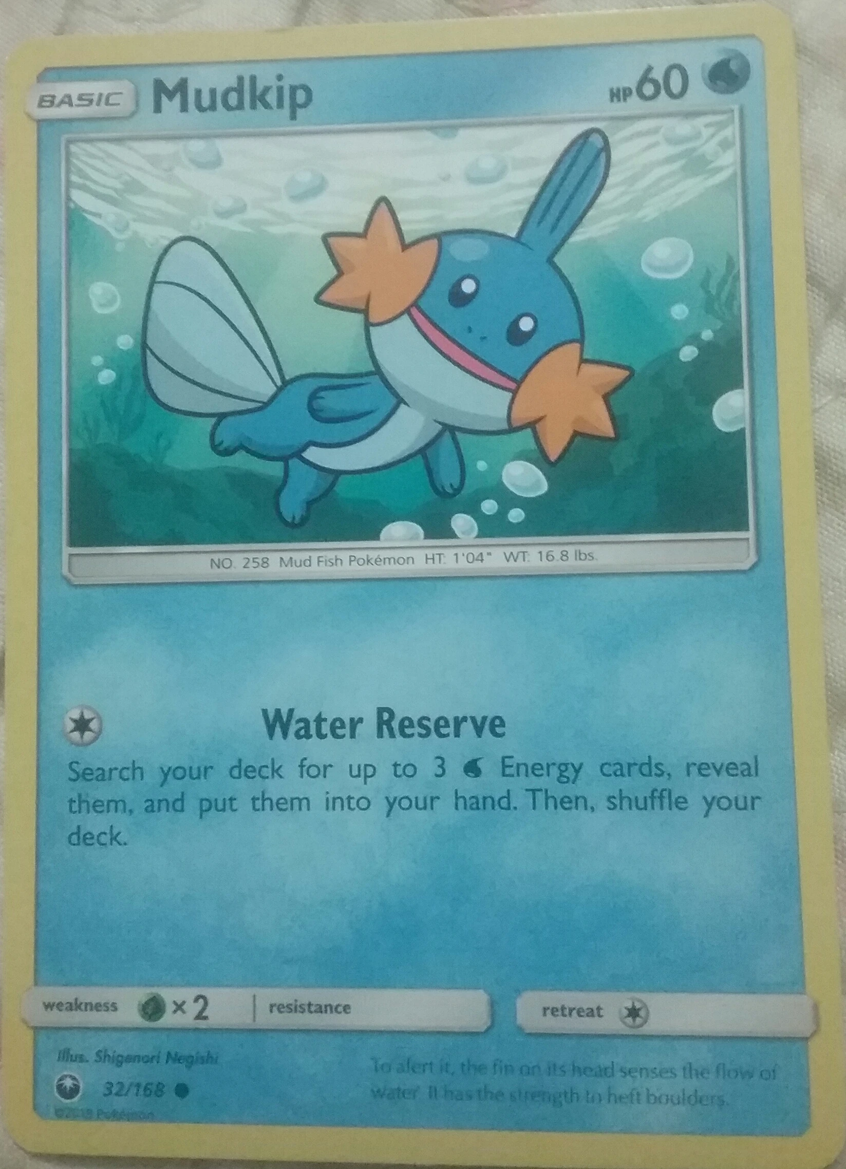 Mudkip card | Fandom