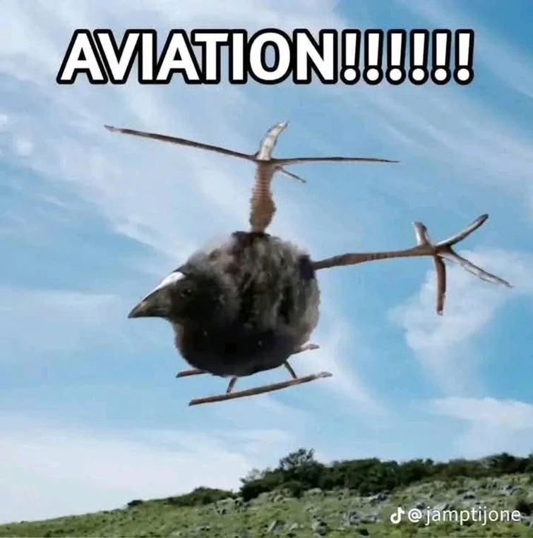 Pukeko ygg!!!!!!!!!!!!!!!!!!!!!!!!!!!!!!!!!!!!!!!!!! | Fandom