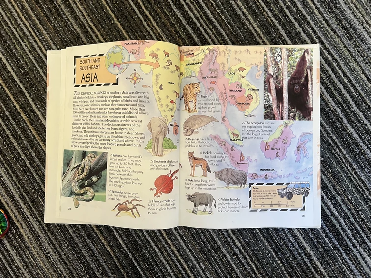 Discuss Everything About NatureRules1 Wiki | Fandom