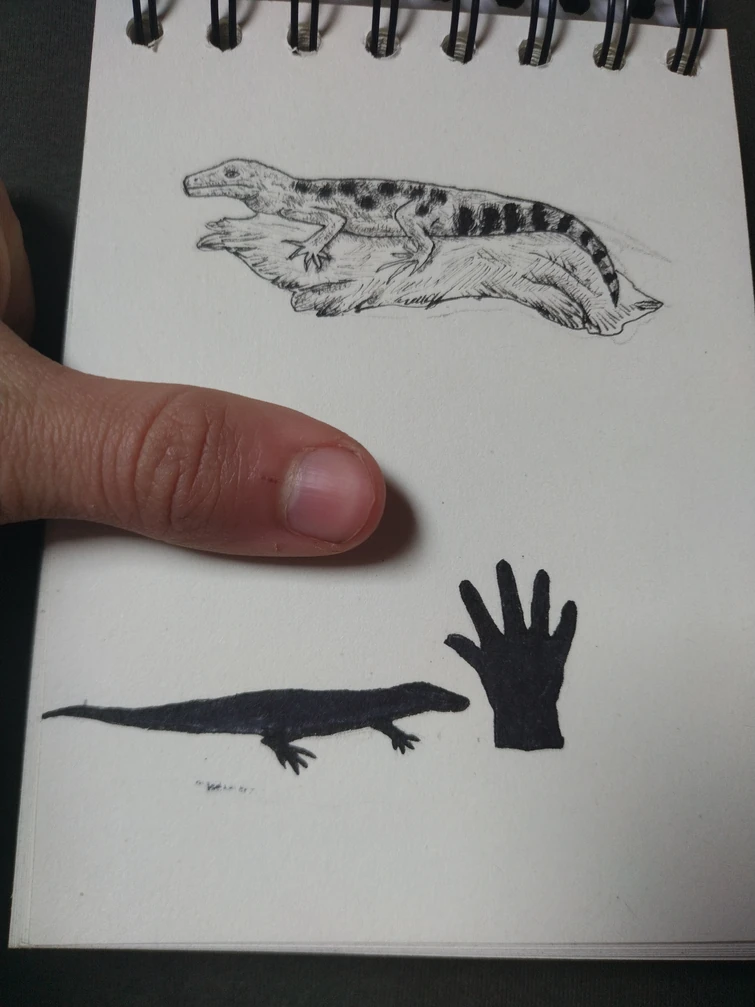 Archaeothyris | Fandom