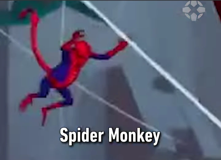 Wait a minute | Fandom