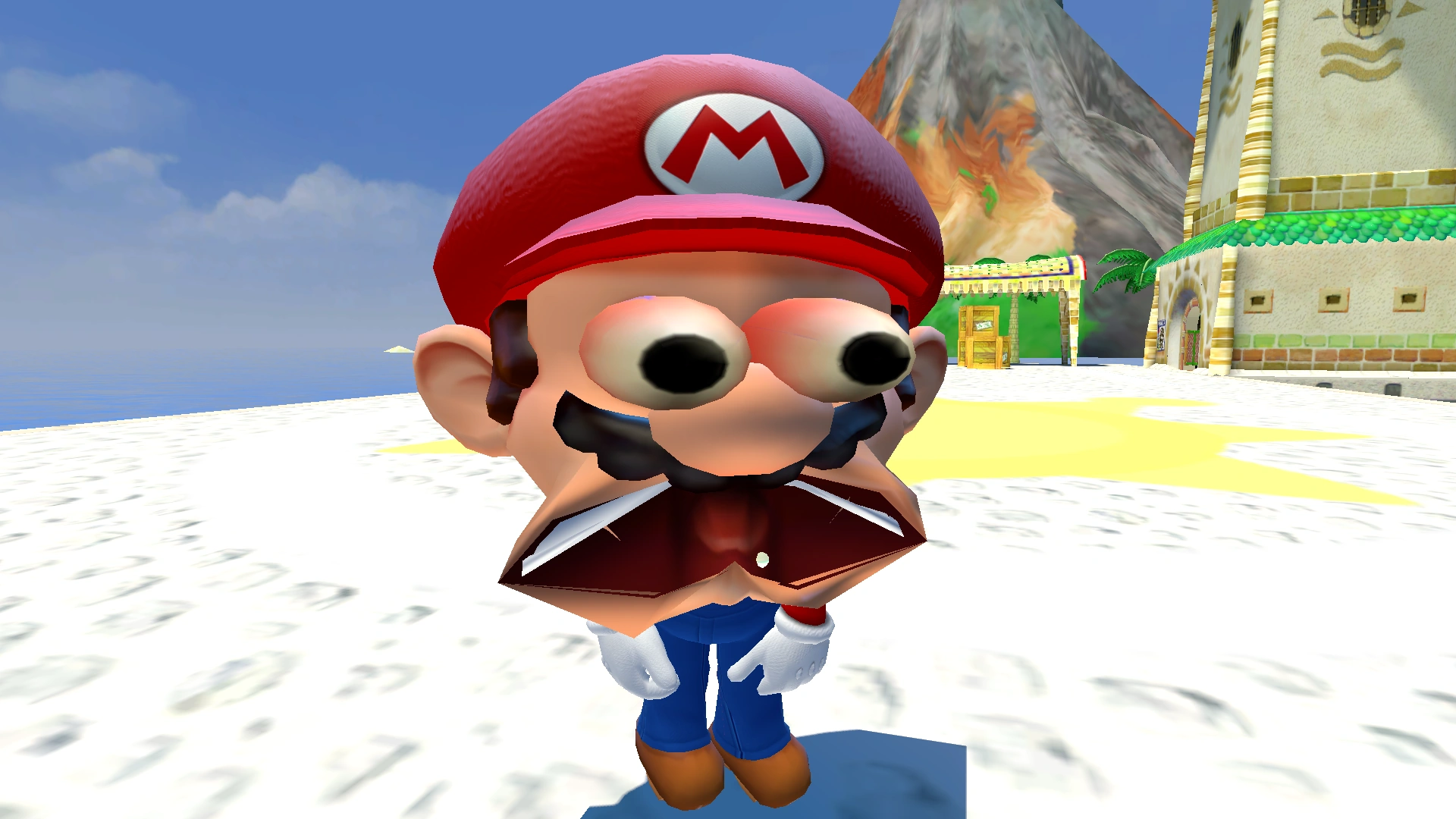 What does Mario see? | Fandom