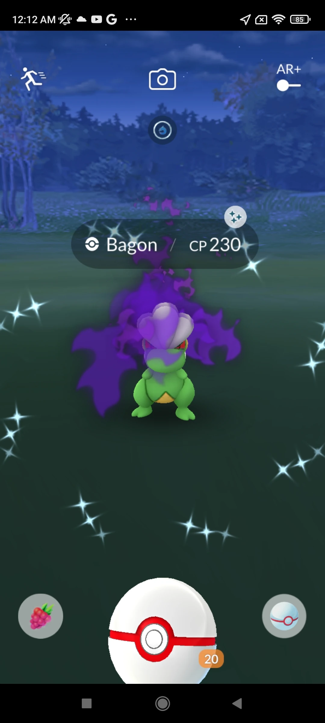 Shiny Shadow Bagon from Arlo! | Fandom