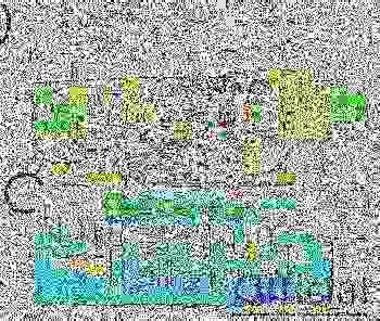 the most fried bfdi | Fandom