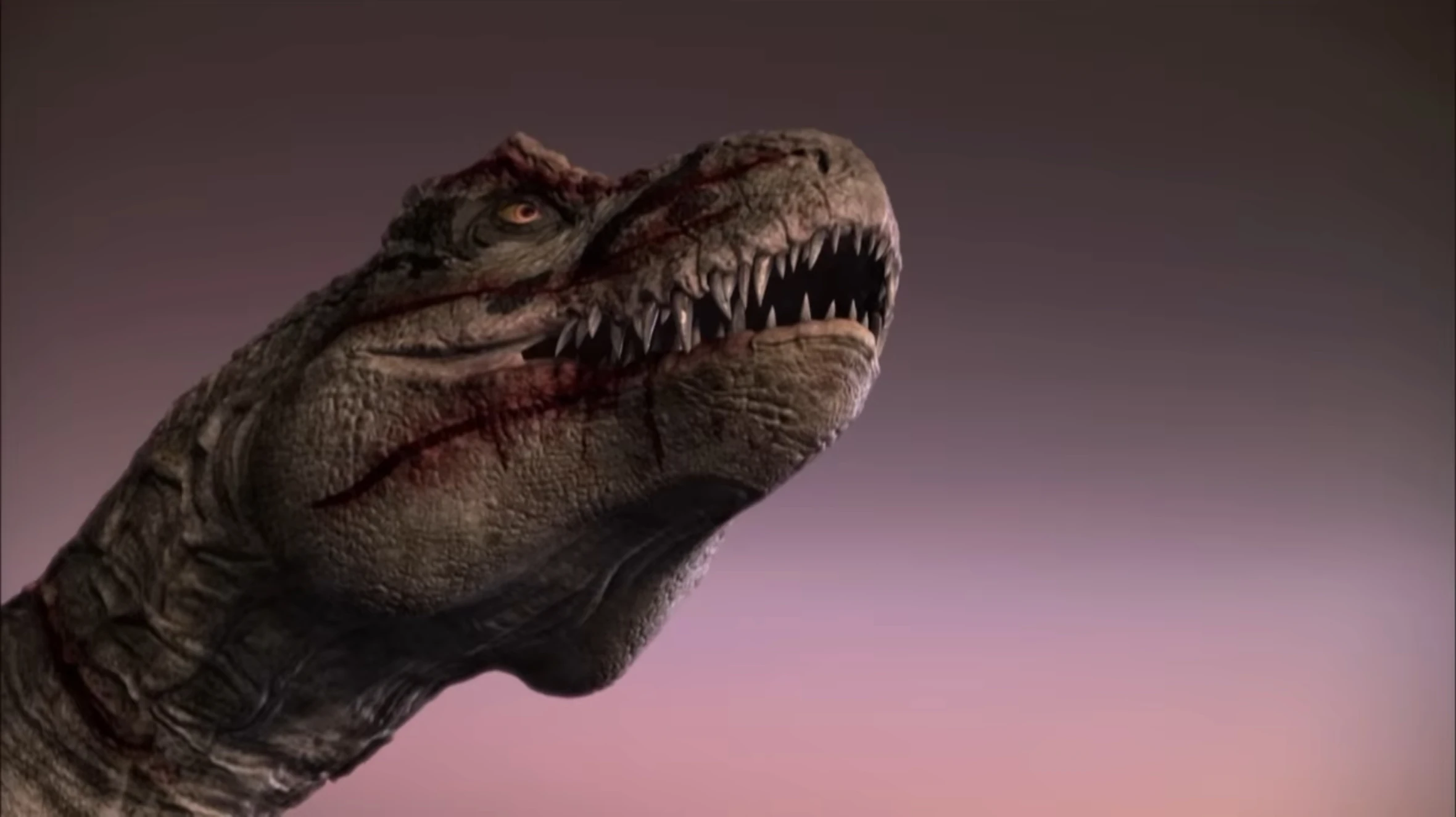 Something to ask. | Fandom