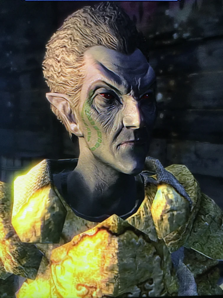 The Nerevarine in The Elder Scrolls V | Fandom