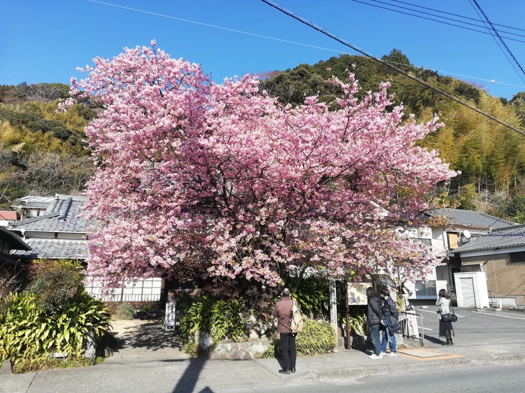 Wonderful PreCure goods will be on sale at Pretty Stores from February ...