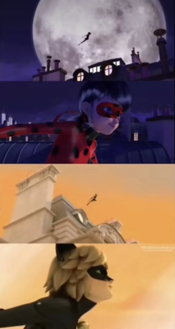 The Parallels 🤩 | Fandom