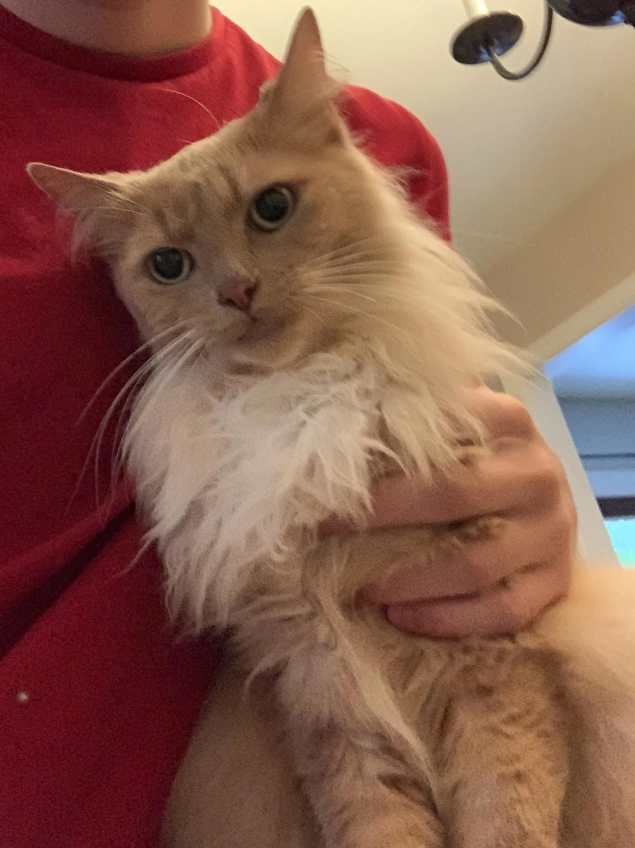 more pictures of the silly car | Fandom