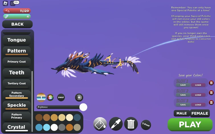 !MUSH PRIZES! CoS Beauty Pageant! | Fandom