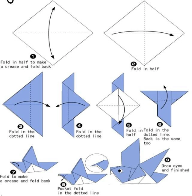 Origami Bird: | Fandom