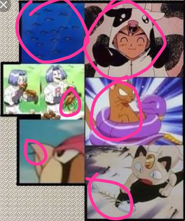 Animals in Pokemon anime !!! | Fandom