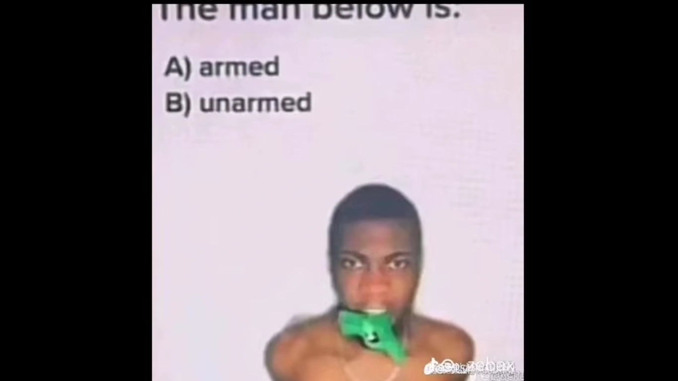 image perms go brrrr | Fandom