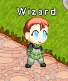 A new wizard named 'Wizard' from New Prodigy in Old Prodigy | Fandom