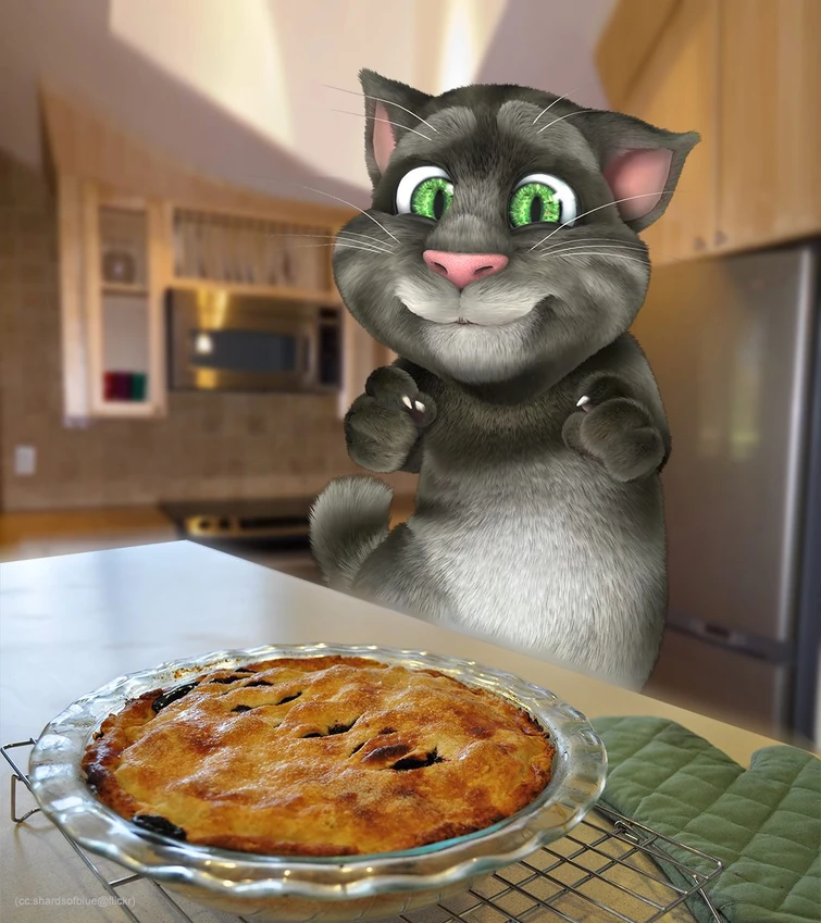 Talking Tom Facebook Media | Fandom