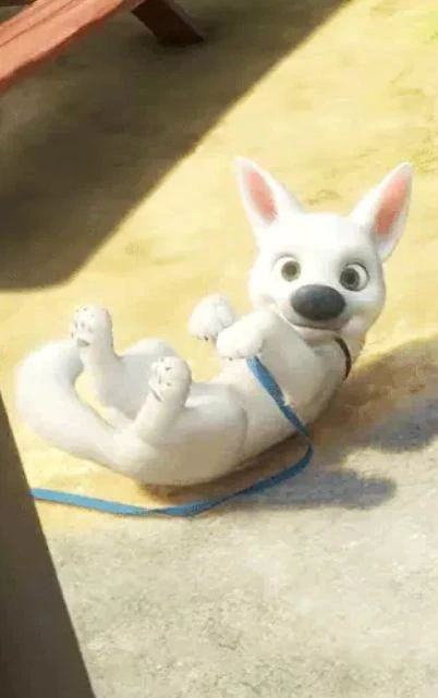 Cute Bolt Picture | Fandom