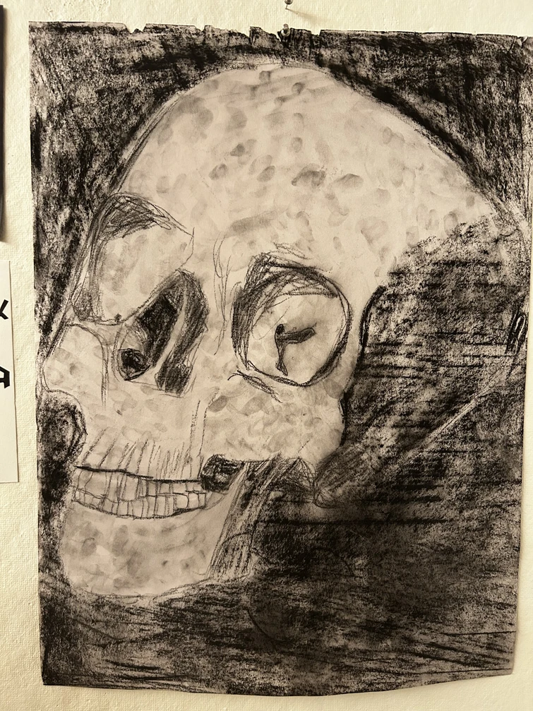 Drew this human skull using charcoal for homework | Fandom