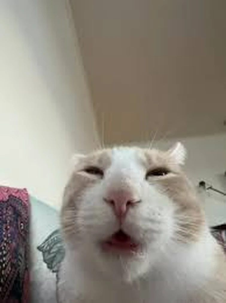 To those Tabby bots | Fandom