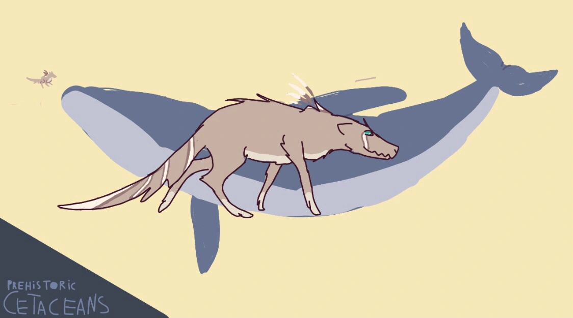 pakicetus art | Fandom