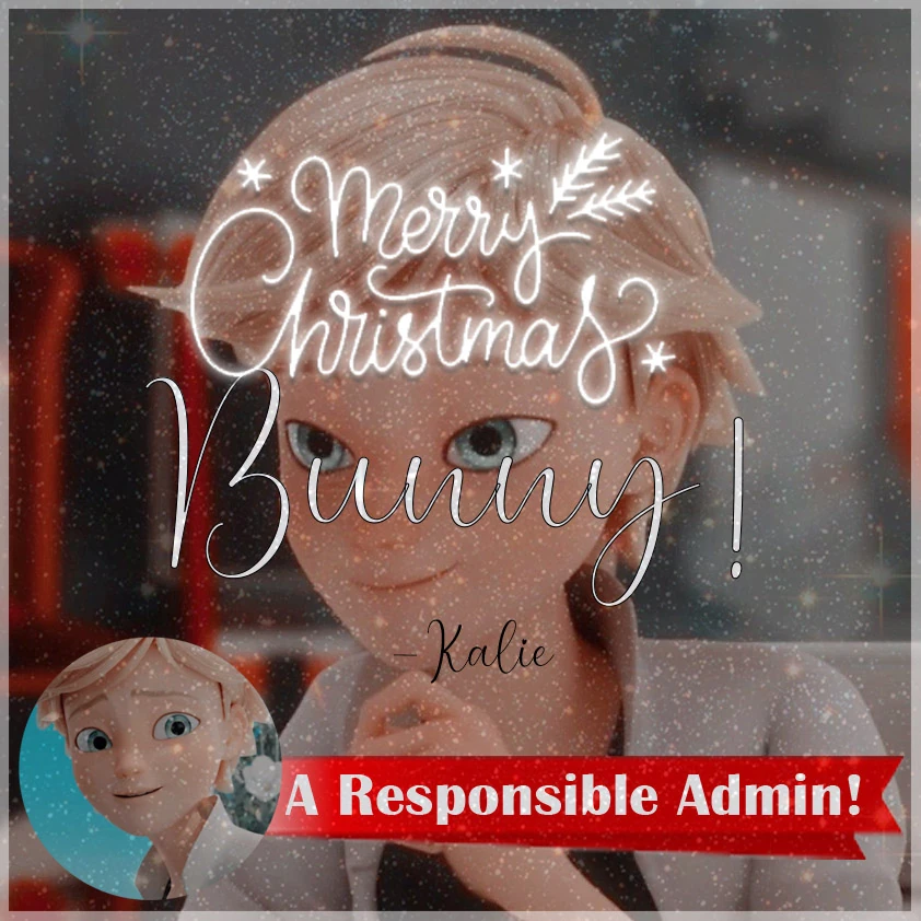 It’s gonna be a Miraculous Christmas! | Fandom